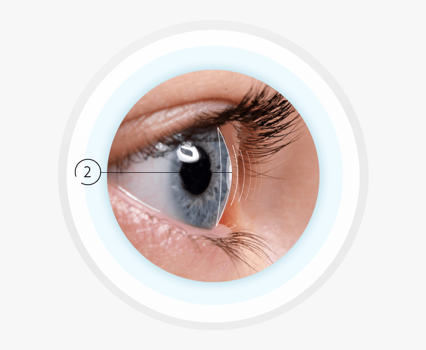 Eyeball From The Side, HD Png Download , Transparent Png Image - PNGitem