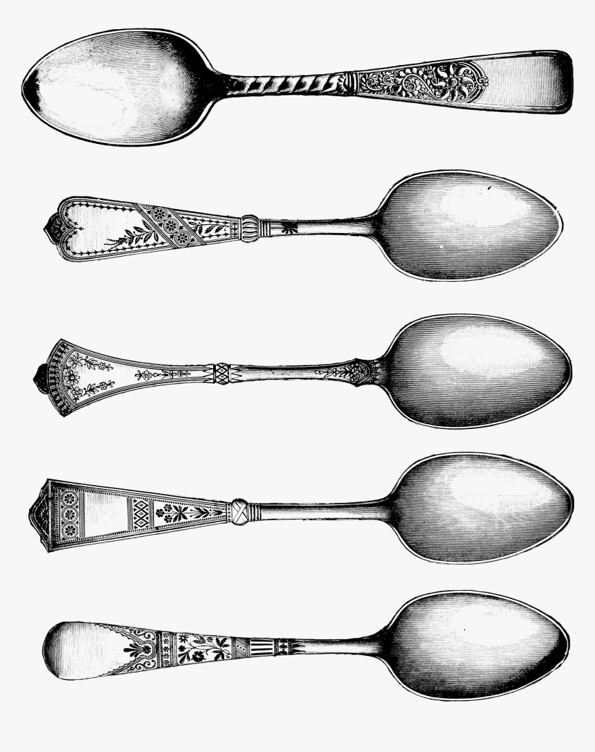 Vector Spoon Fancy - Spoons Clipart, HD Png Download , Transparent Png ...