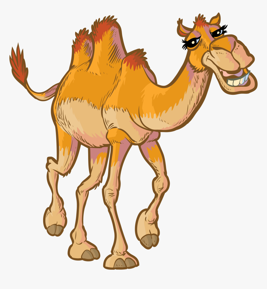 Camel Face Cartoon, HD Png Download , Transparent Png Image - PNGitem