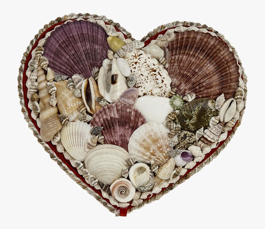 Seashell Jewelry Heart Shaped Box - Shell Heart Shaped Box, HD Png ...