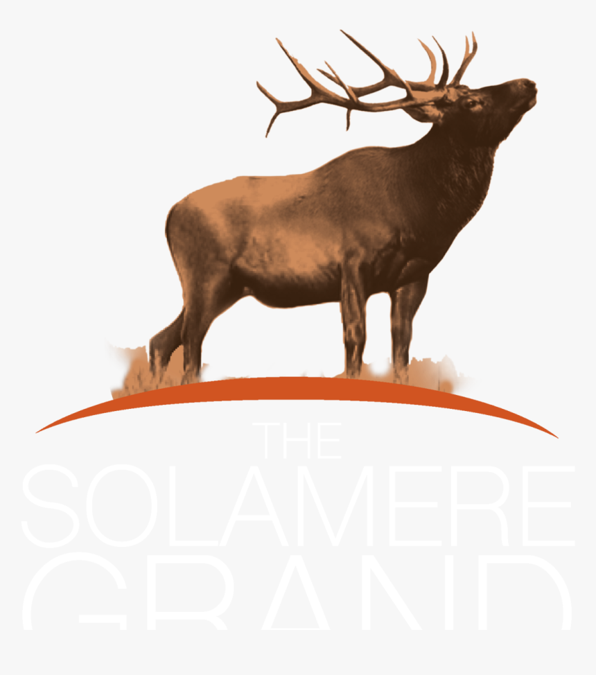 The Solamere Grand - Elk, HD Png Download , Transparent Png Image - PNGitem