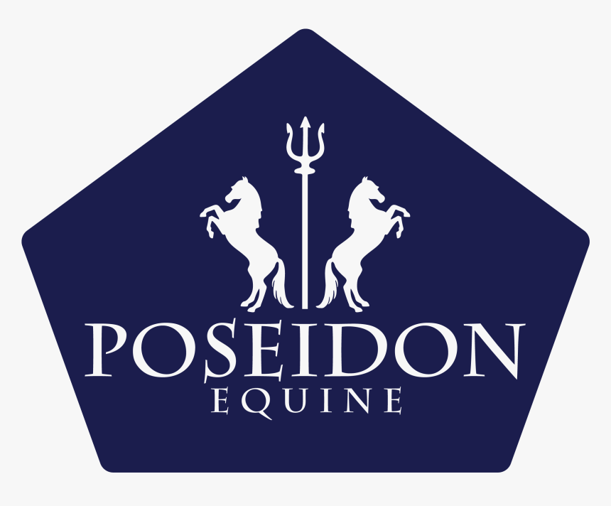 Class Of 2001 Reunion, HD Png Download , Transparent Png Image - PNGitem