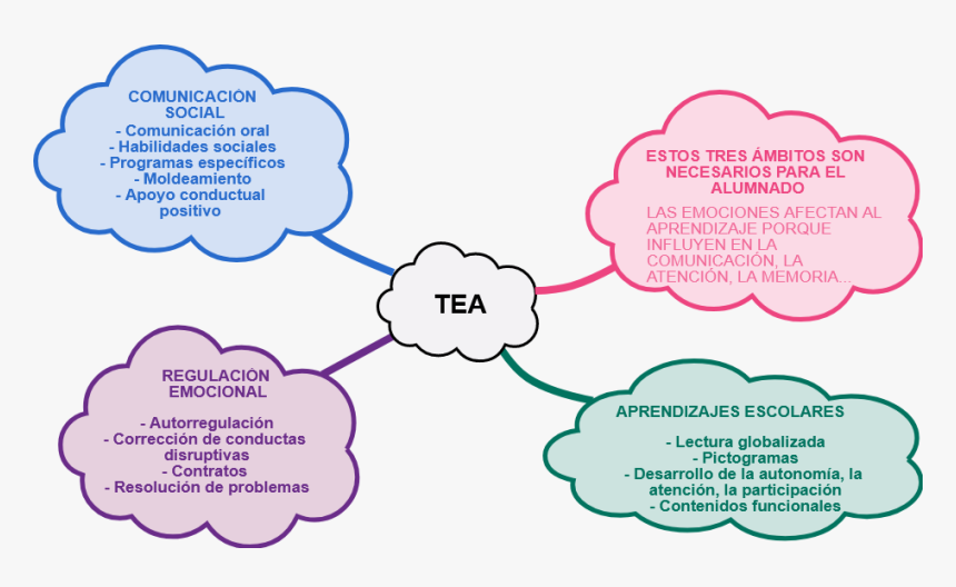 Mind Map For Tea, HD Png Download , Transparent Png Image - PNGitem