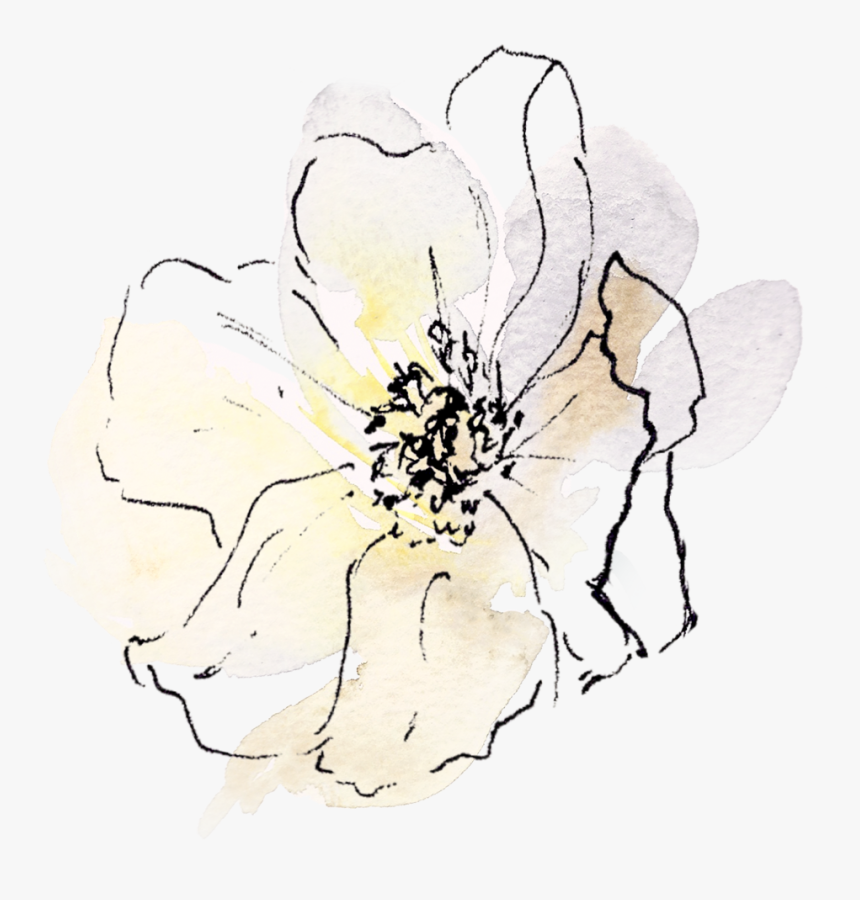 Side Flower - Gardenia, HD Png Download , Transparent Png Image - PNGitem
