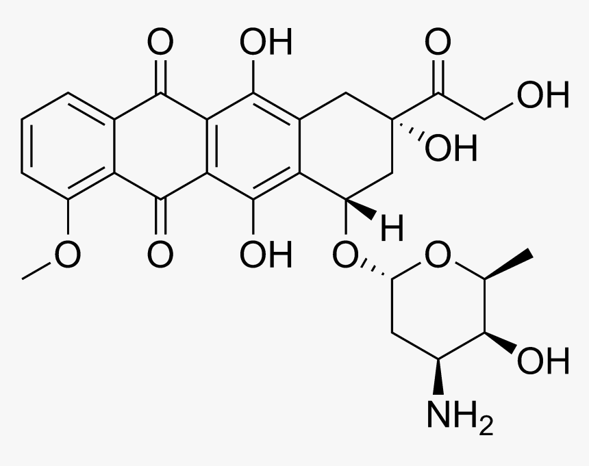 Doxorubicin Chemical Structure - Filgrastim Molecule, HD Png Download ...