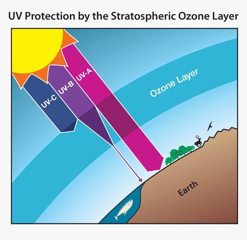 Ozone Imager