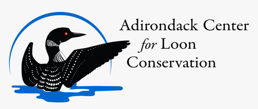 Aclc Logo Bt Right 4 18 - Loon Logo, HD Png Download , Transparent Png ...