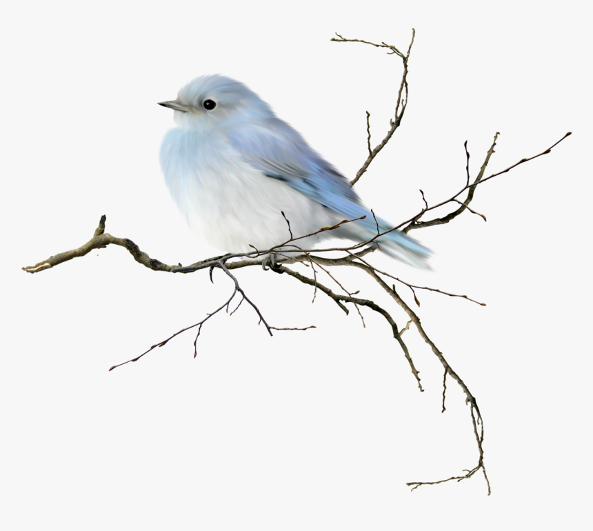 Blue Bird Watercolor Png, Transparent Png , Transparent Png Image - PNGitem