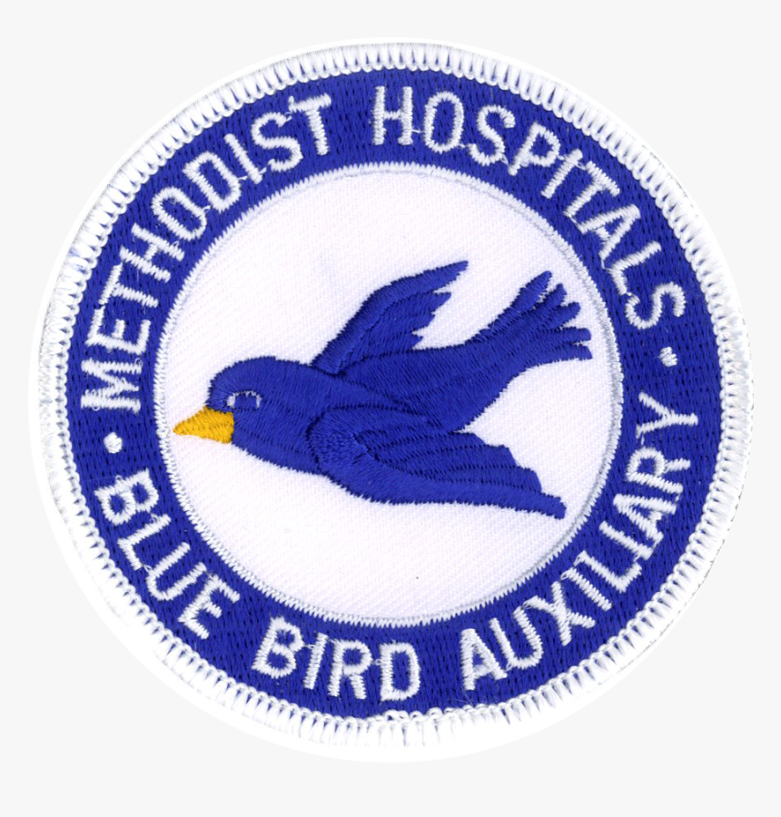 Bluebird Logo, HD Png Download , Transparent Png Image - PNGitem