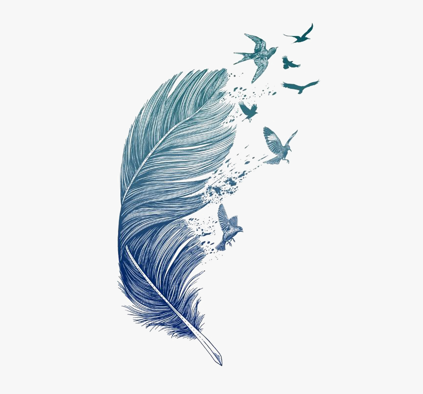 Bird Feather Clipart at Charlotte Smartt blog