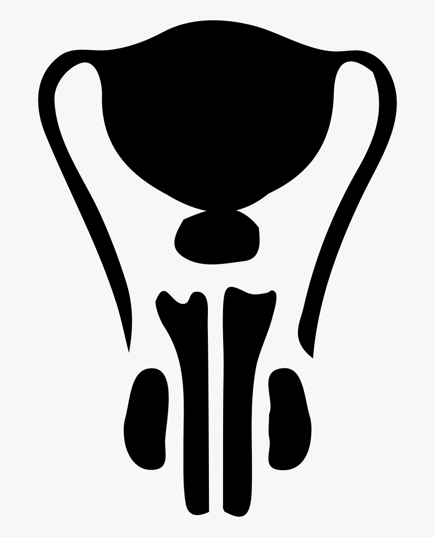 Male Svg Png Icon - Male Reproductive System Icon, Transparent Png ...