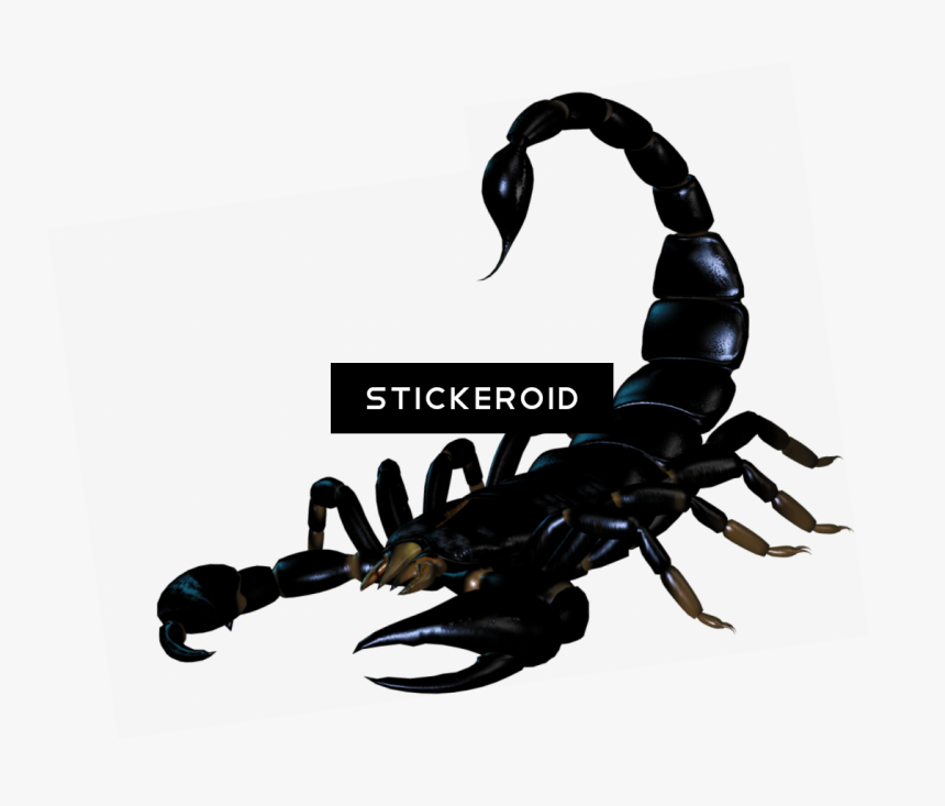 Scorpion Tattoo Silhouette Insects Scorpions - Scorpion Png ...