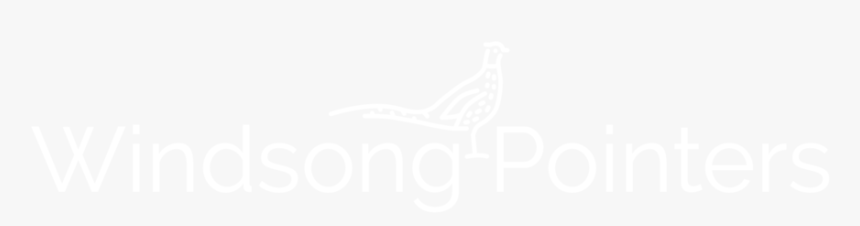 Windsong Pointers Logo White - Johns Hopkins Logo White, HD Png ...