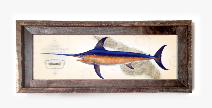 Atlantic Blue Marlin, HD Png Download , Transparent Png Image - PNGitem