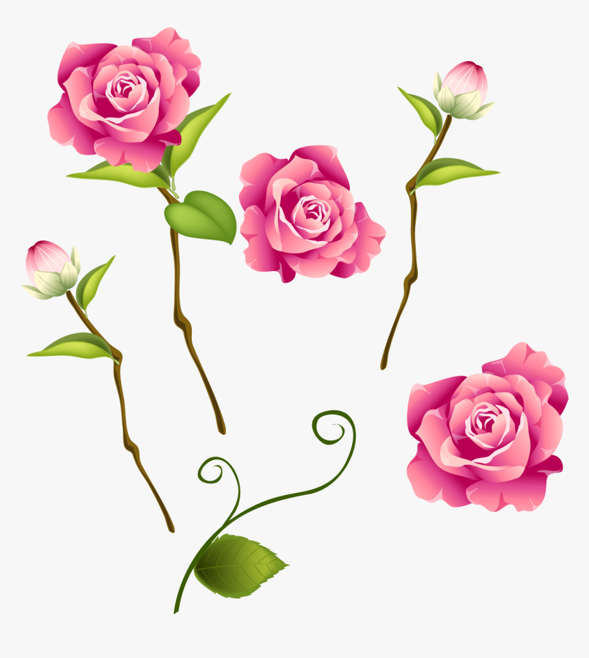 Rose Photoshop For Png, Transparent Png , Transparent Png Image - PNGitem