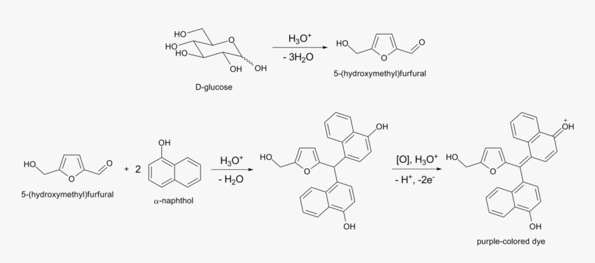Iodine Test For Starch Reaction, HD Png Download , Transparent Png ...