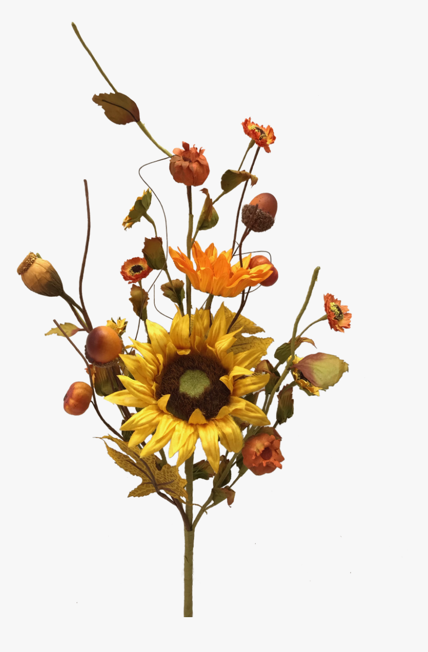 22 - Black-eyed Susan, HD Png Download , Transparent Png Image - PNGitem