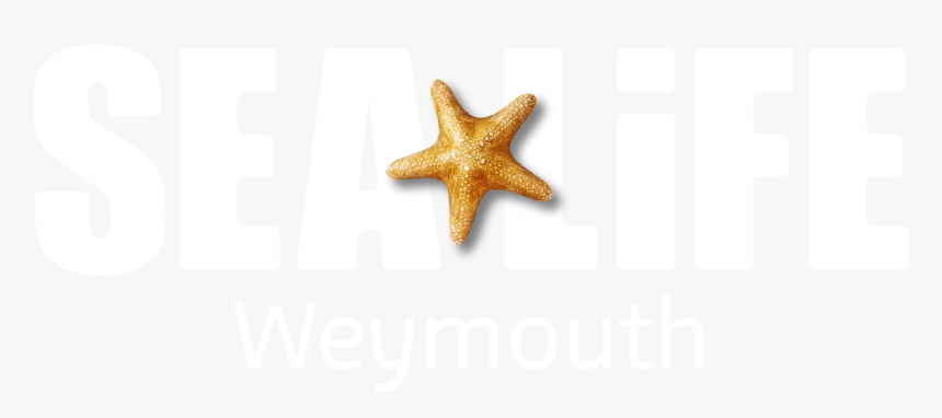 Sea Life Blackpool Logo, HD Png Download , Transparent Png Image - PNGitem