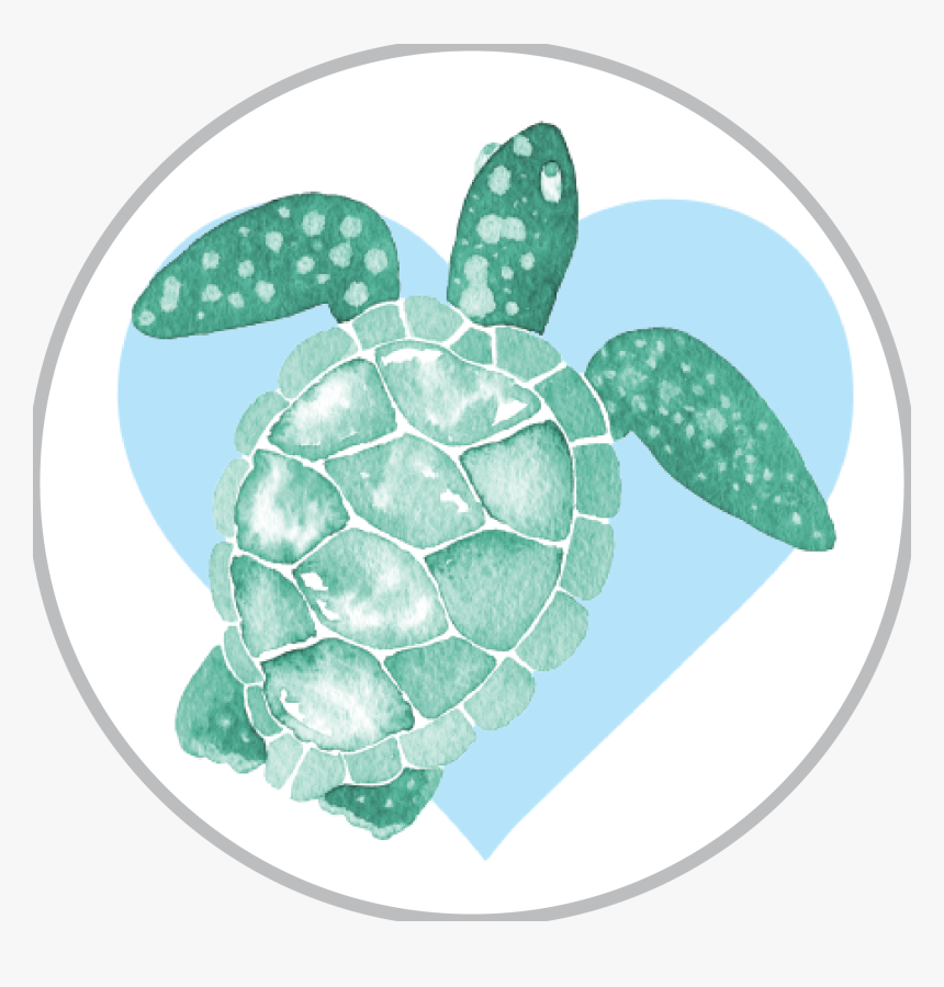 Sea Life Watercolor , Png Download - Realistic Turtle Clip Art ...