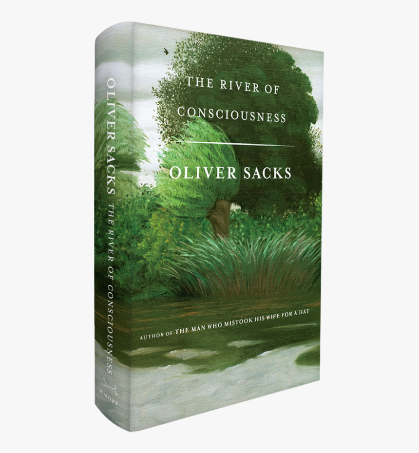 River Of Consciousness, HD Png Download , Transparent Png Image - PNGitem