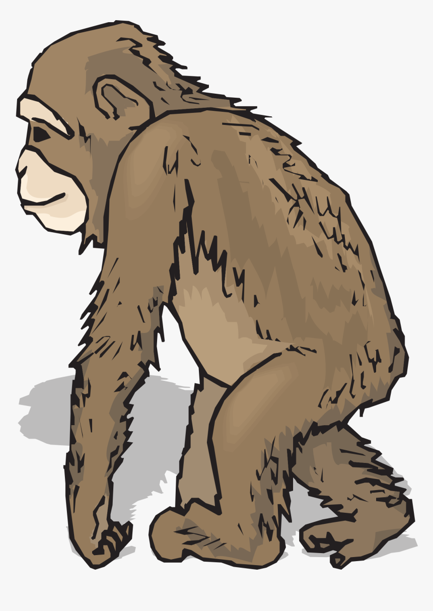 Realistic Monkey Clip Art