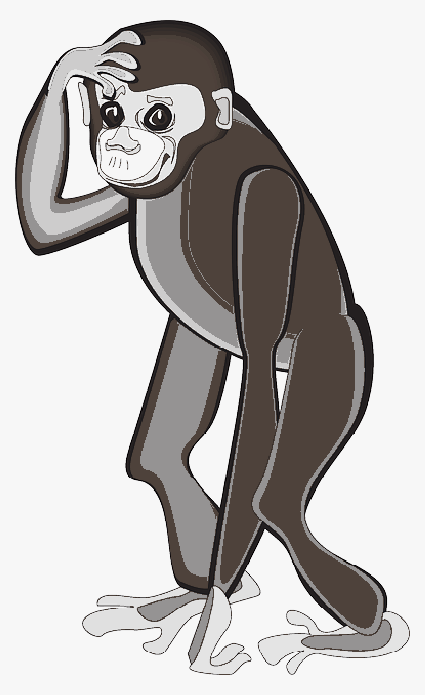 Cartoon, Art, Standing, Animal, Chimp, Scratching - Monkey, HD Png ...