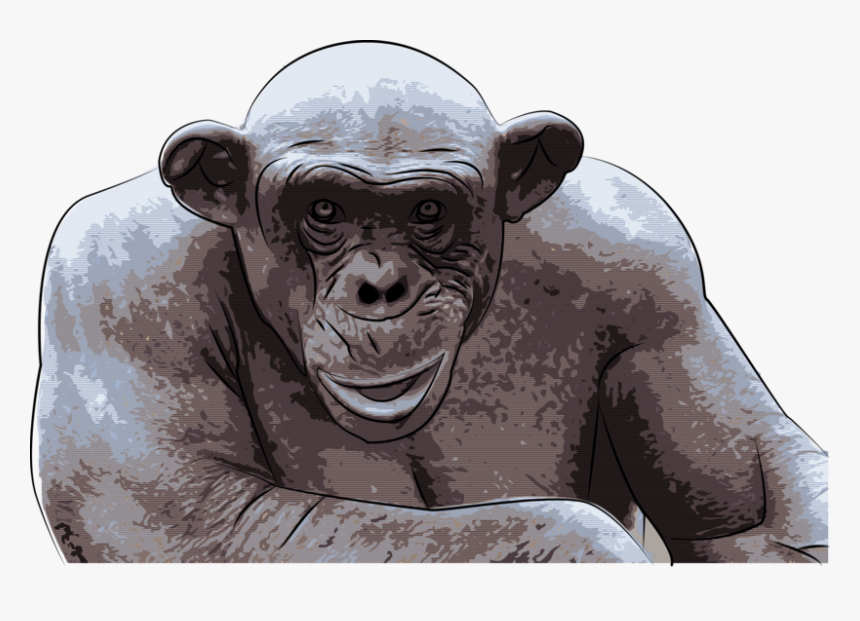 Transparent Chimpanzee Png - Ashes Hairless Chimp, Png Download ...
