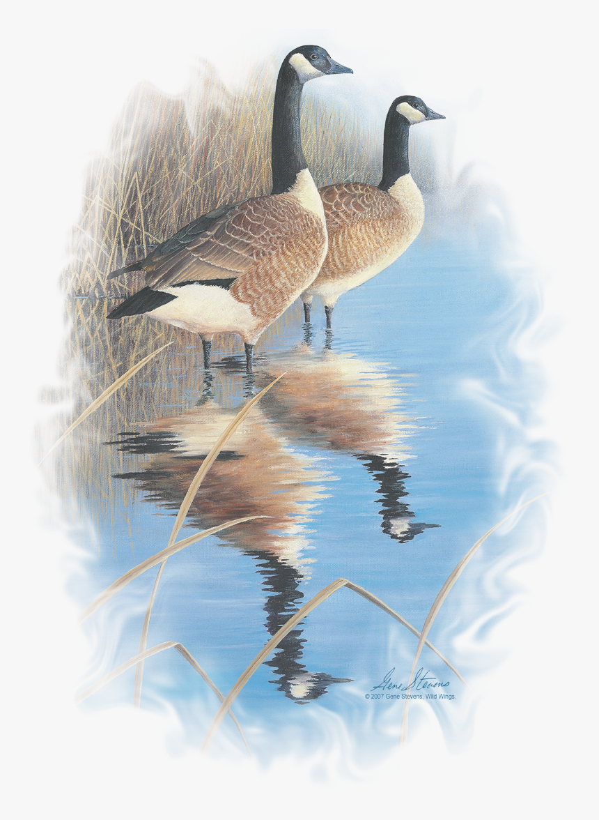 Canada Goose, HD Png Download , Transparent Png Image - PNGitem