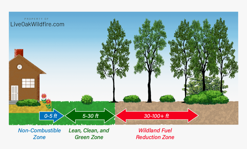 Mexican Pinyon, HD Png Download , Transparent Png Image - PNGitem