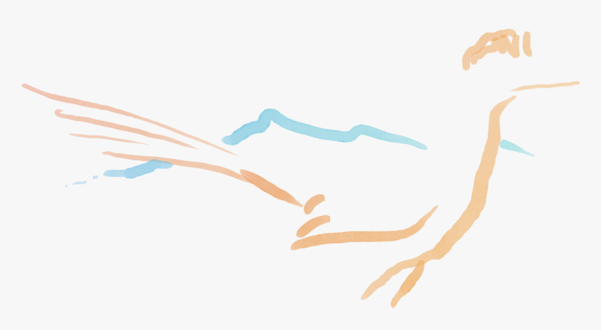 Coachella Png, Transparent Png , Transparent Png Image - PNGitem