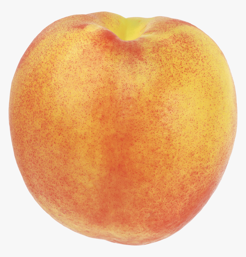 Peach Png Image - Peach With No Background, Transparent Png ...