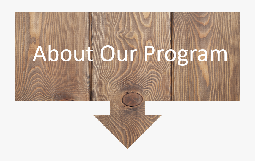 About Our Program Banner - People Think I Do Meme, HD Png Download ...