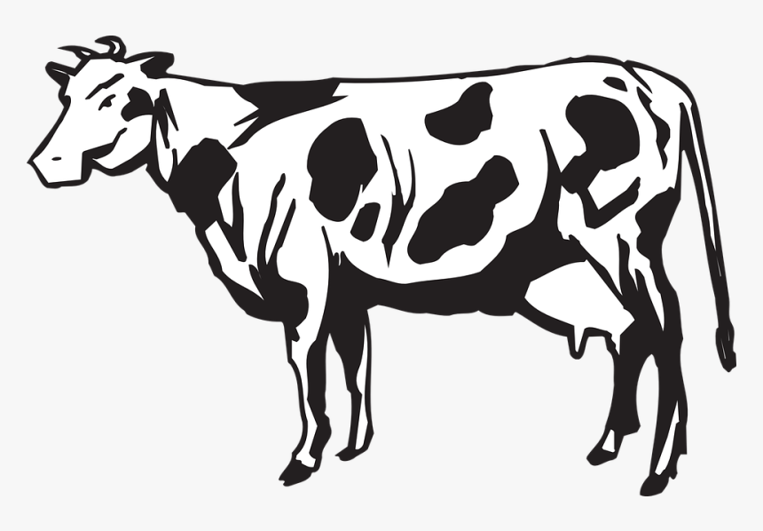 Dairy Cows Vector Graphics - Clip Art Cows Herd, HD Png Download ...