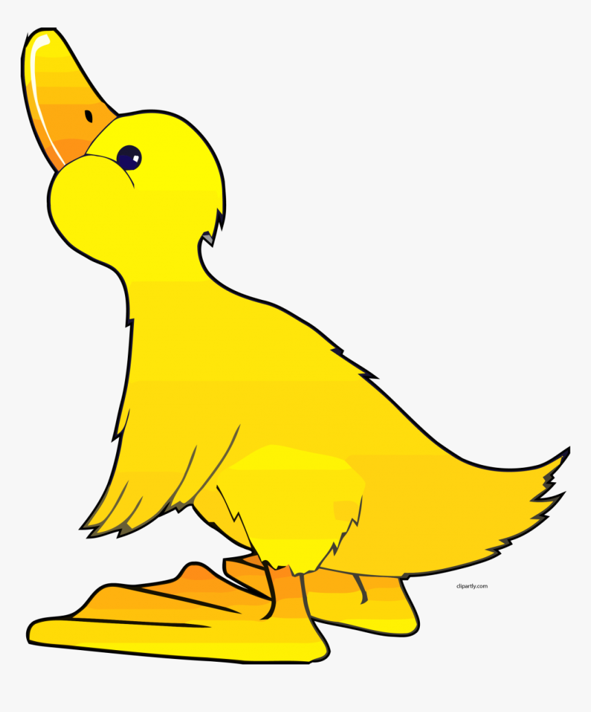 Free Clipart Duck, HD Png Download , Transparent Png Image - PNGitem