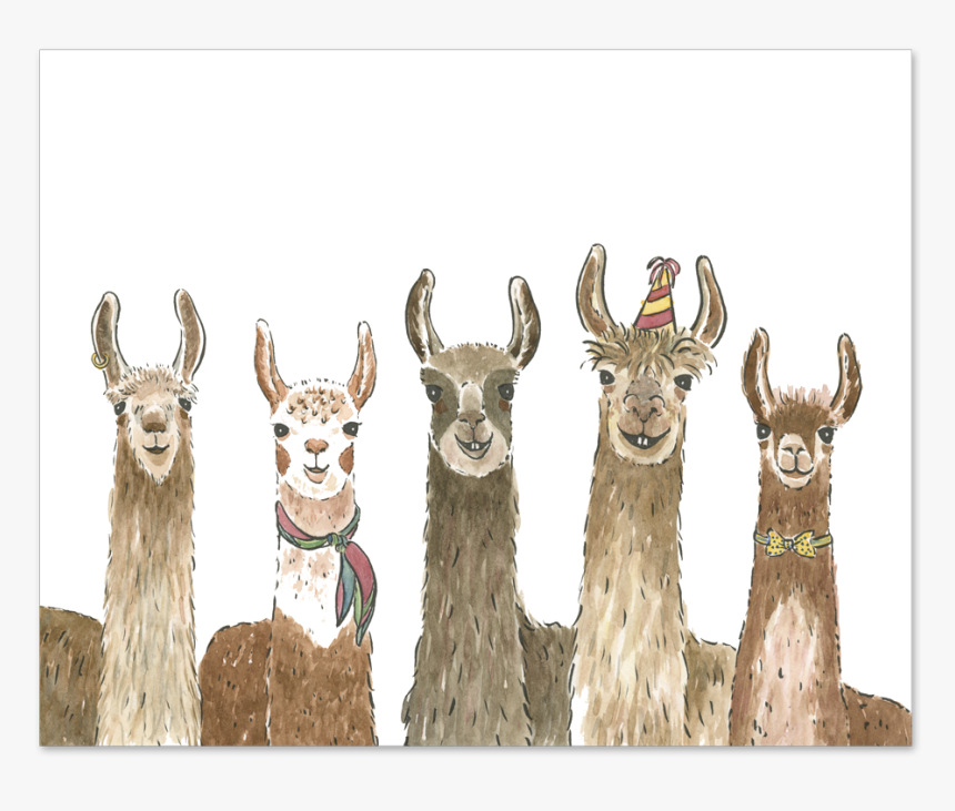 Party With These Llamas - Llama Birthday Card 30, HD Png Download ...
