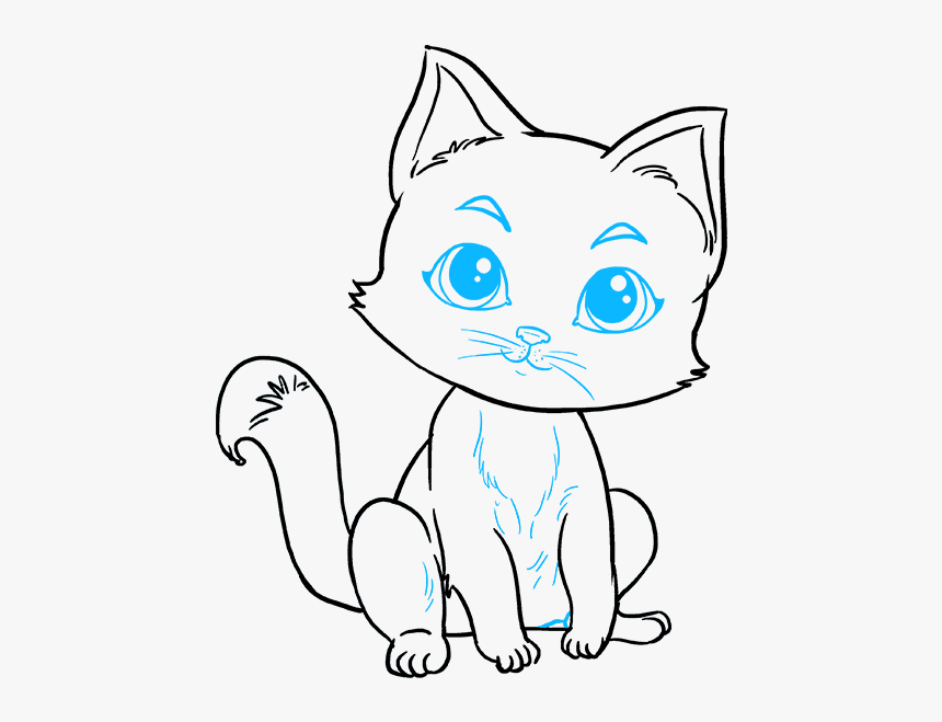How To Draw A Real Baby Cat