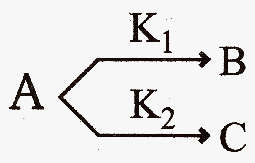 Think Tank, HD Png Download , Transparent Png Image - PNGitem