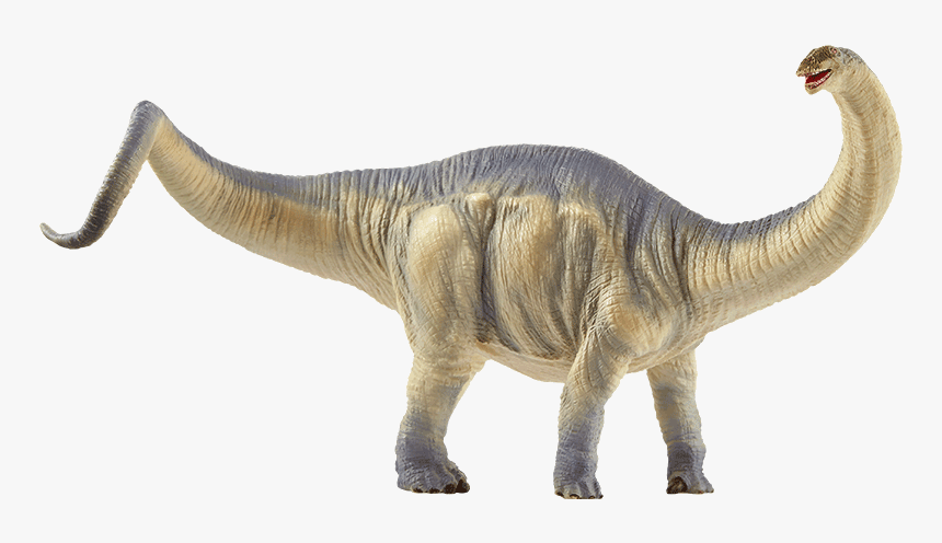 Brontosaurus 2020, HD Png Download , Transparent Png Image - PNGitem