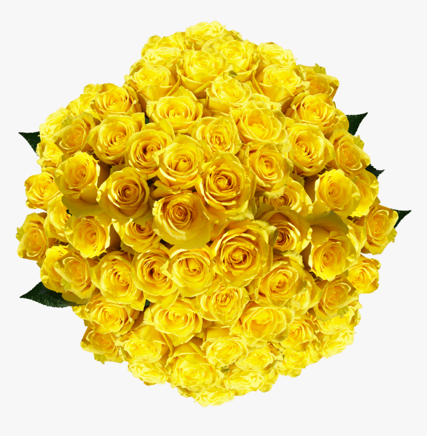 Vibrant Pure Yellow Roses - Floribunda, HD Png Download , Transparent ...