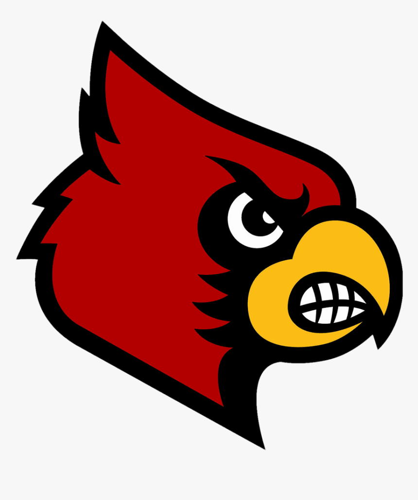 Cardinal Reading A Book Clipart