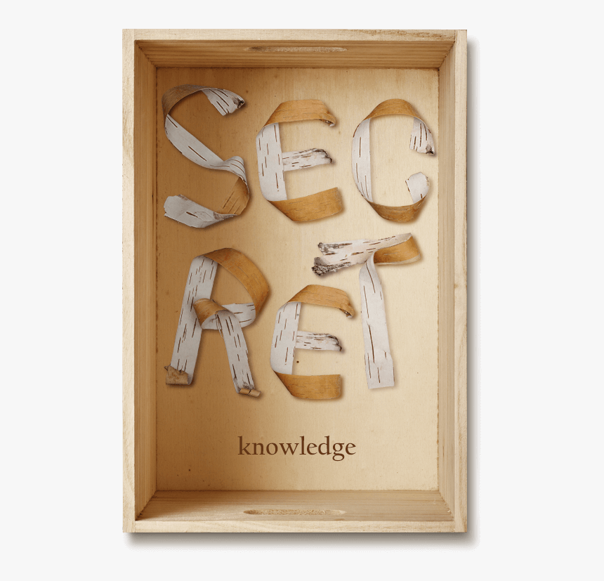 Birch Bark Wood Font - Plywood, HD Png Download , Transparent Png Image ...