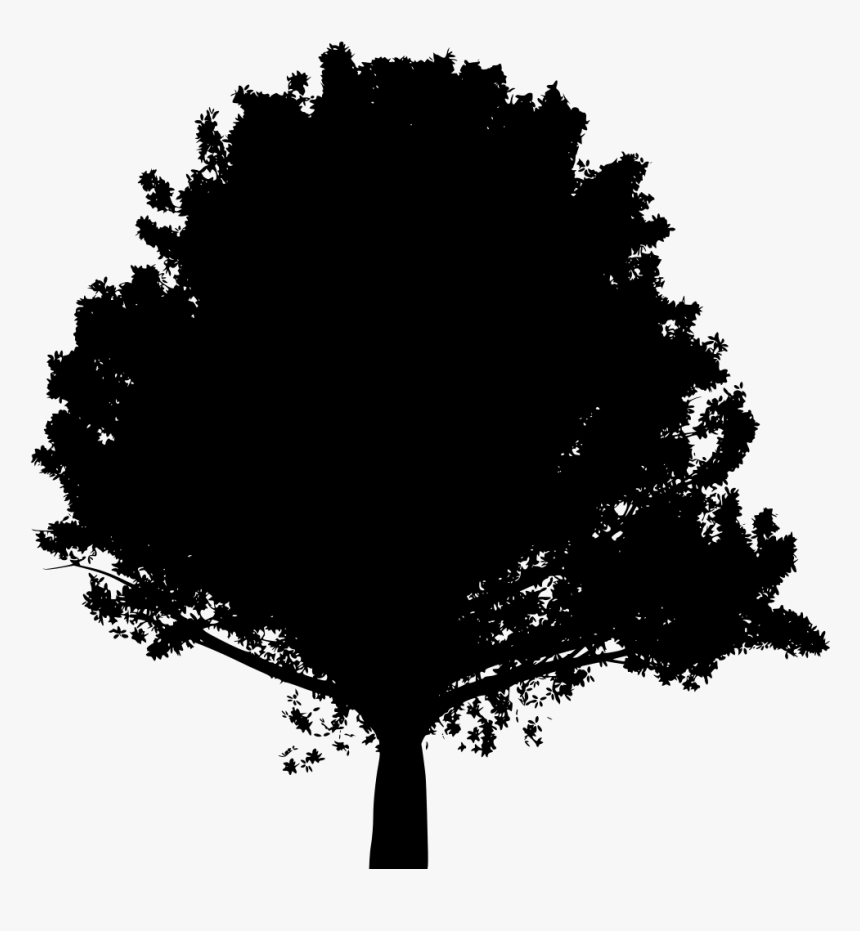 Large Oak Tree Silhouette, HD Png Download , Transparent Png Image ...