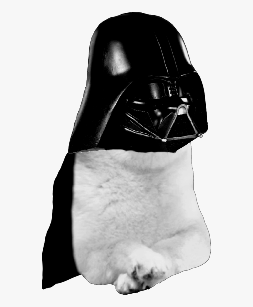 Smirking Doge Png, Transparent Png , Transparent Png Image - PNGitem