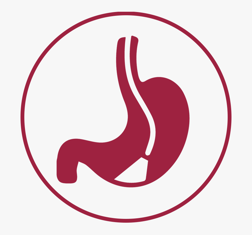 Rwj Endoscopy Icon, HD Png Download , Transparent Png Image - PNGitem