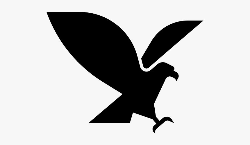 Dubai In March - Red Shouldered Hawk, HD Png Download , Transparent Png ...