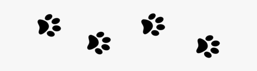 Paw Print Trail Png, Transparent Png , Transparent Png Image - PNGitem