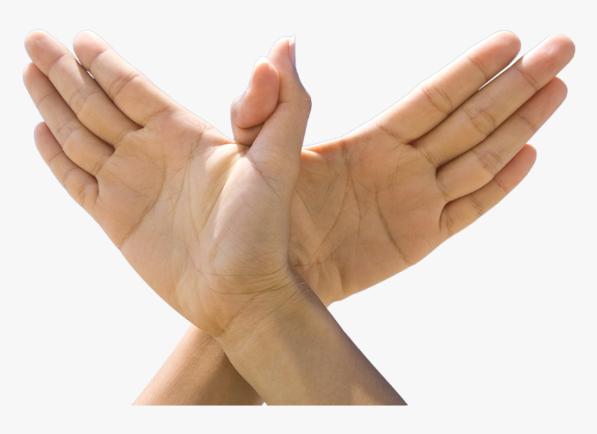 Transparent Phoenix Wings Png - Hand Wings, Png Download , Transparent ...