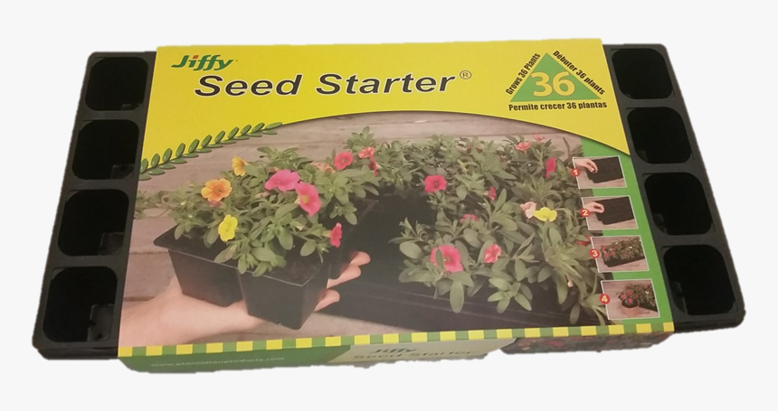 Touch-me-not, HD Png Download , Transparent Png Image - PNGitem