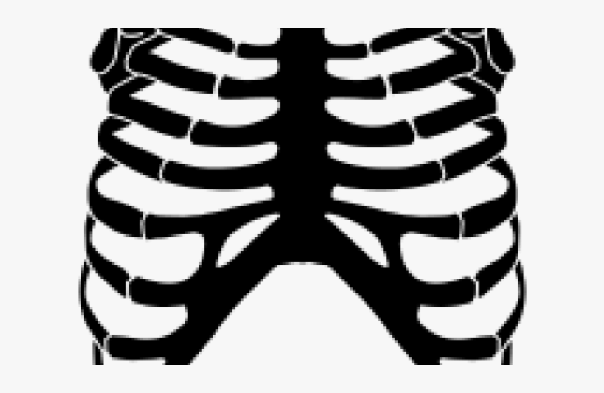 Rib Cage Png Transparent Images - Skeleton Rib Cage Clipart, Png ...