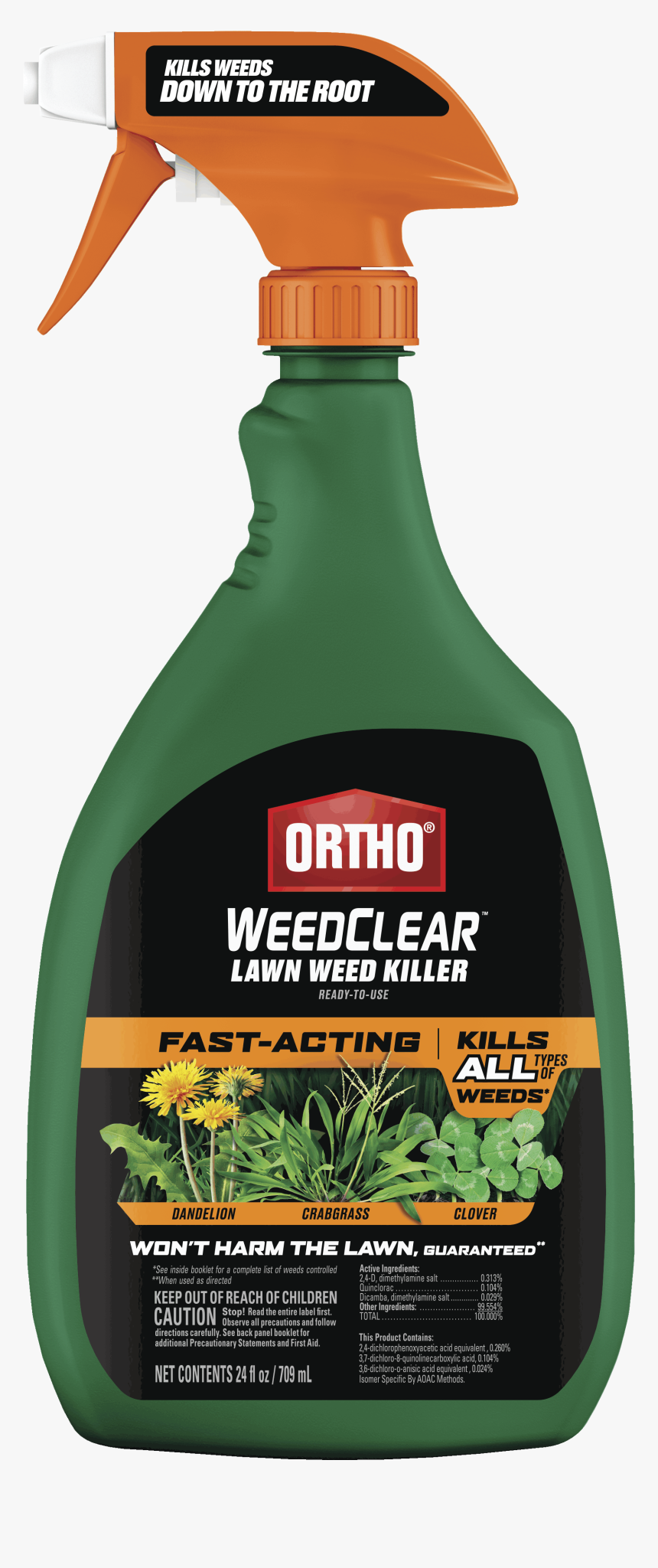 Pest, HD Png Download , Transparent Png Image - PNGitem